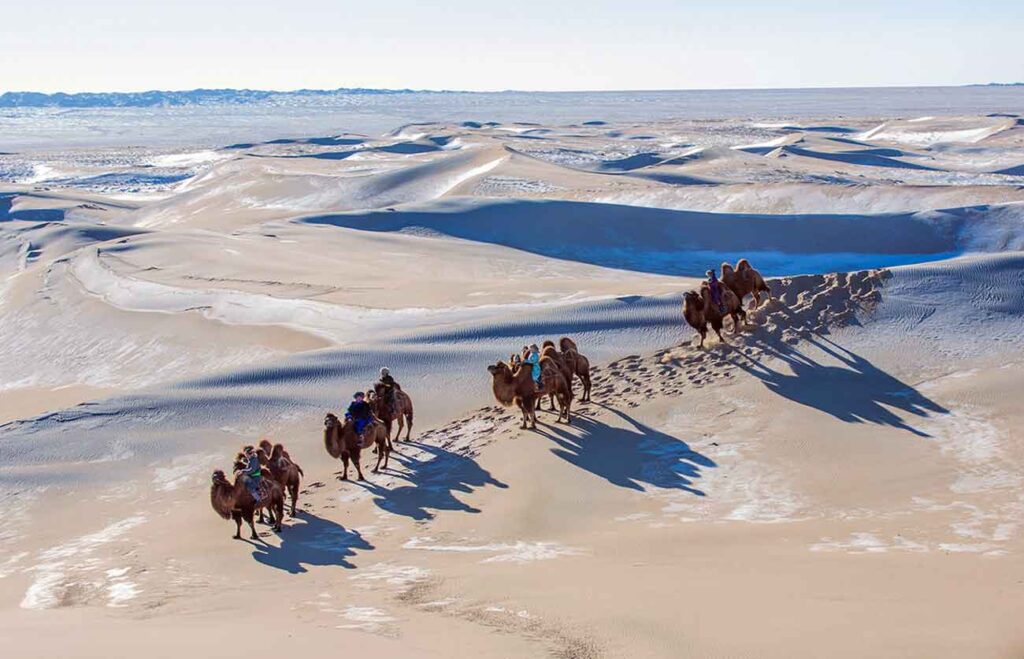 Cold Desert | Gobi