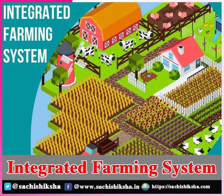 Integrated Farming System | Sachi Shiksha - The Famous Spiritual ...