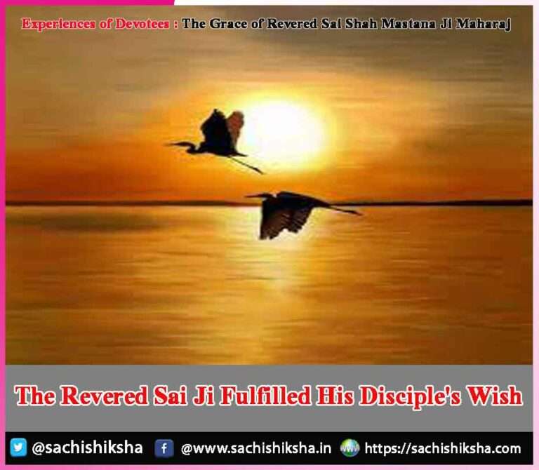 The Revered Sai Ji Fulfilled His Disciple's Wish | Experiences of ...