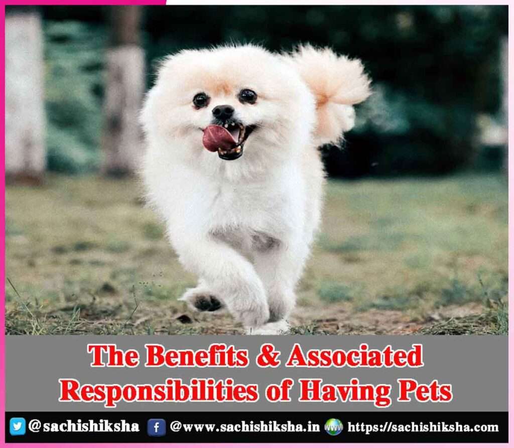 The Benefits & Associated Responsibilities of Having Pets | Sachi Shiksha