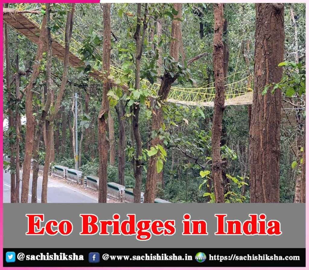 Eco Bridges in India | Sachi Shiksha - The Famous Spiritual Magazine in ...